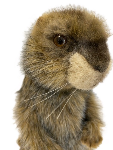 Alpine Marmot Soft Toy by Hansa | Teddy Town Gifts