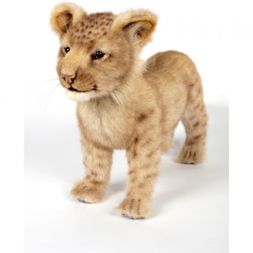 Hansa Lion Cub | Teddy Town Gifts