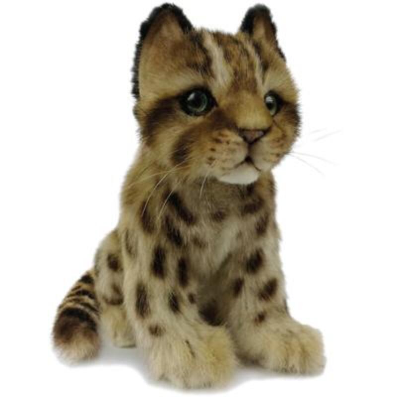 Leopard Cat Shihu Cub Plush Soft Toy | Teddy Town Gifts
