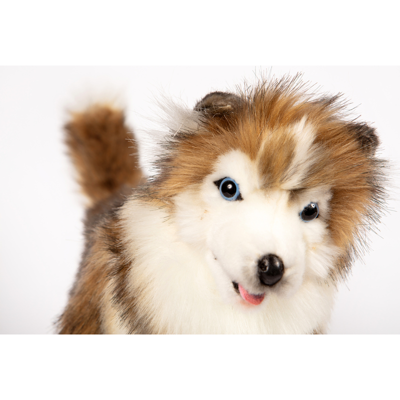 Hansa Plush Siberian Husky Soft Toy 4824 | Teddy Town Gifts