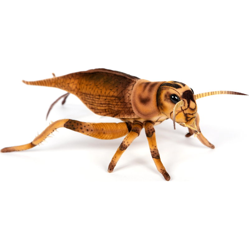 Buy Hansa Cricket Realistic Soft Toy | Teddy Town Gifts