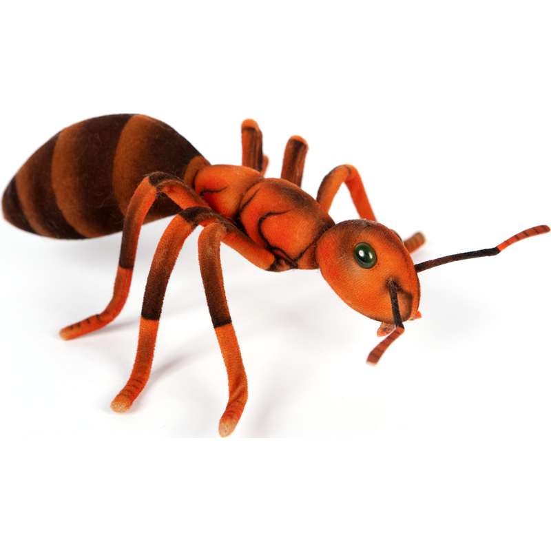 Buy Hansa Ant 23cm Realistic Soft Toy | Teddy Town Gifts