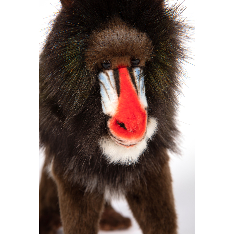 Buy Hansa Mandrill Realistic Soft Toy | Teddy Town Gifts