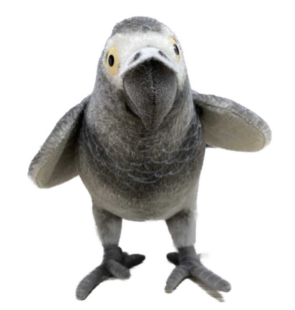 Buy Hansa African Grey Parrot Soft Toy | Teddy Town Gifts